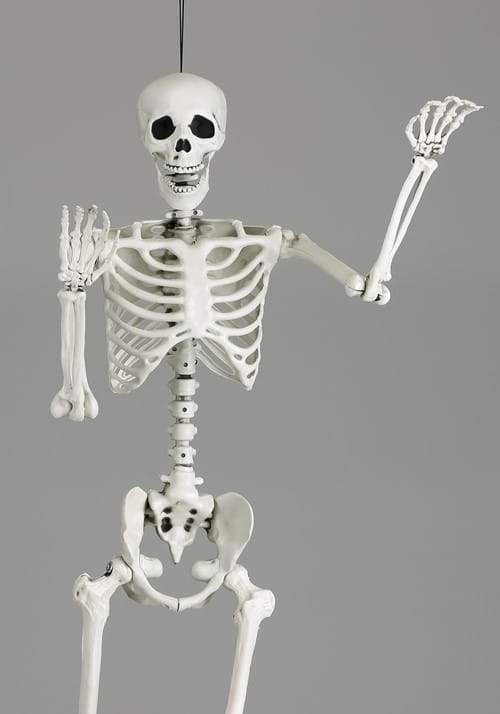 5 Foot Posable Georgie the Skeleton Life Size Halloween Prop