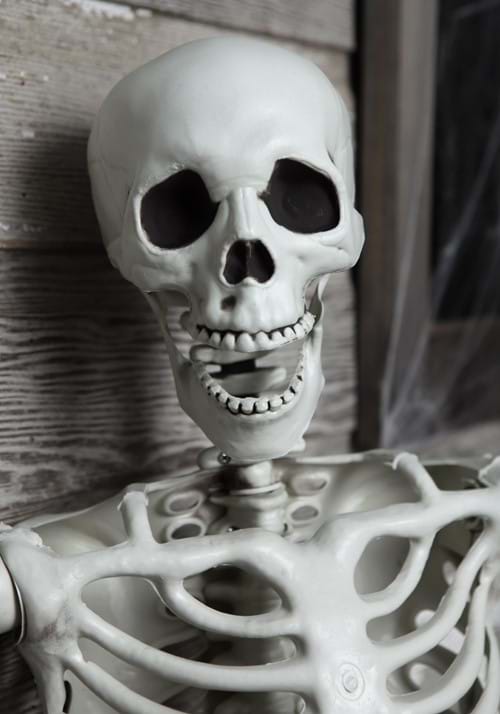 5 Foot Posable Georgie the Skeleton Life Size Halloween Prop