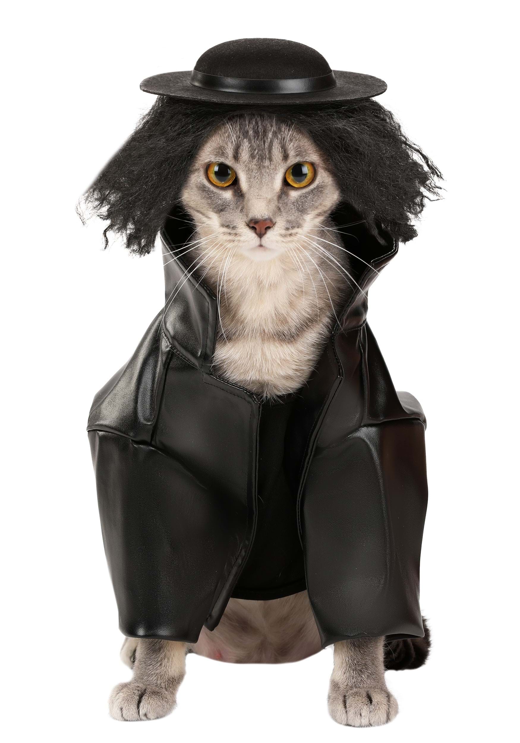Undertaker Dog Costume