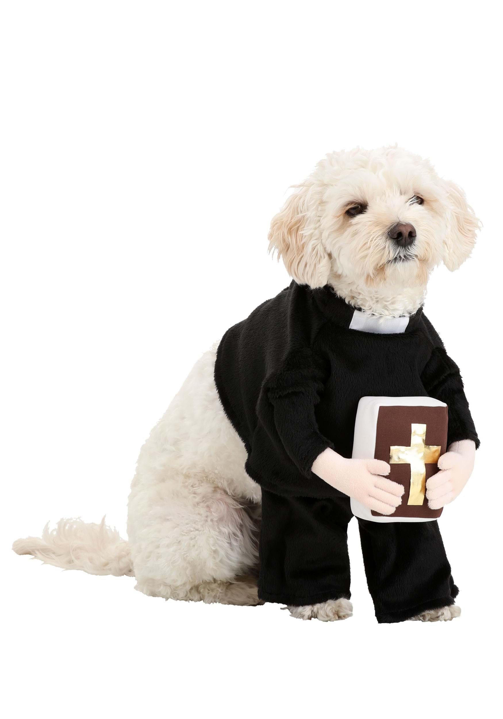 Dog Priest Costume