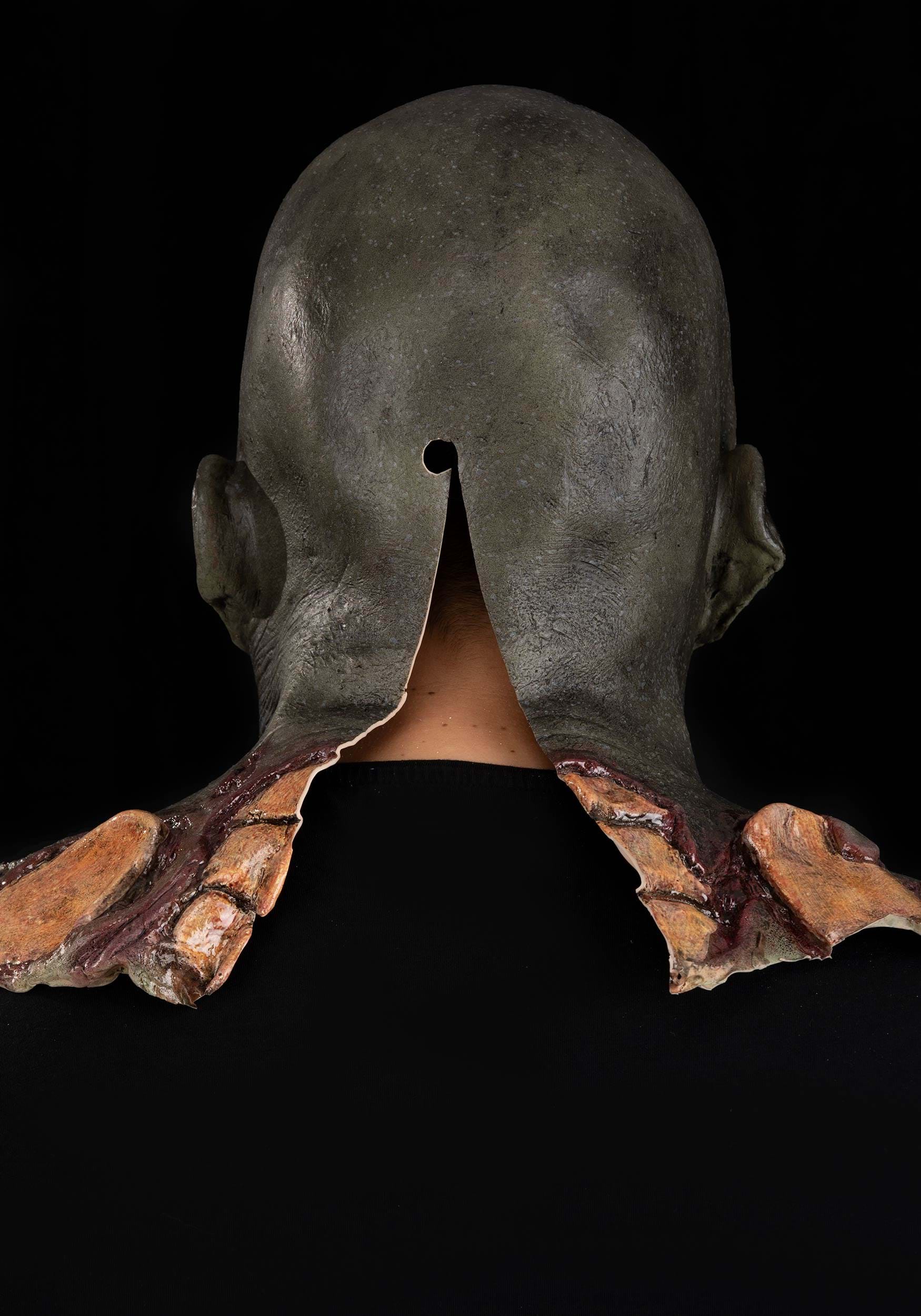 Stench Zombie Adult Mask